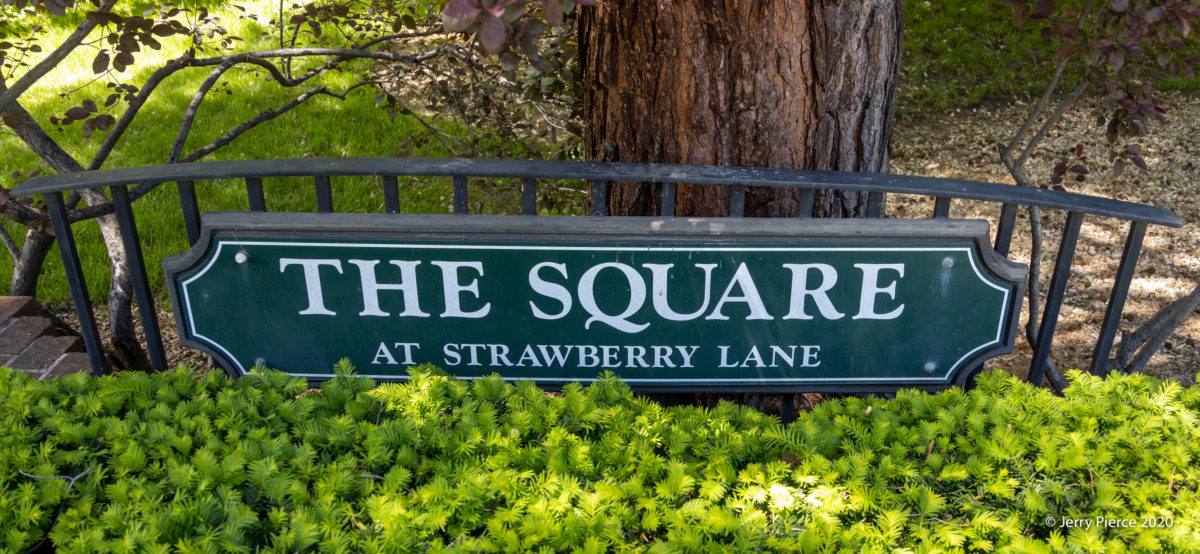 Strawberry Square – Strawberry Square